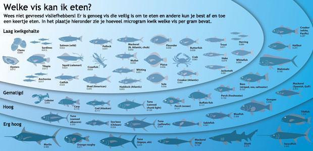 Vis en zware metalen - Supersnel Gezond