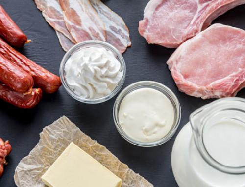 Vet is vet gezond - Supersnel gezond